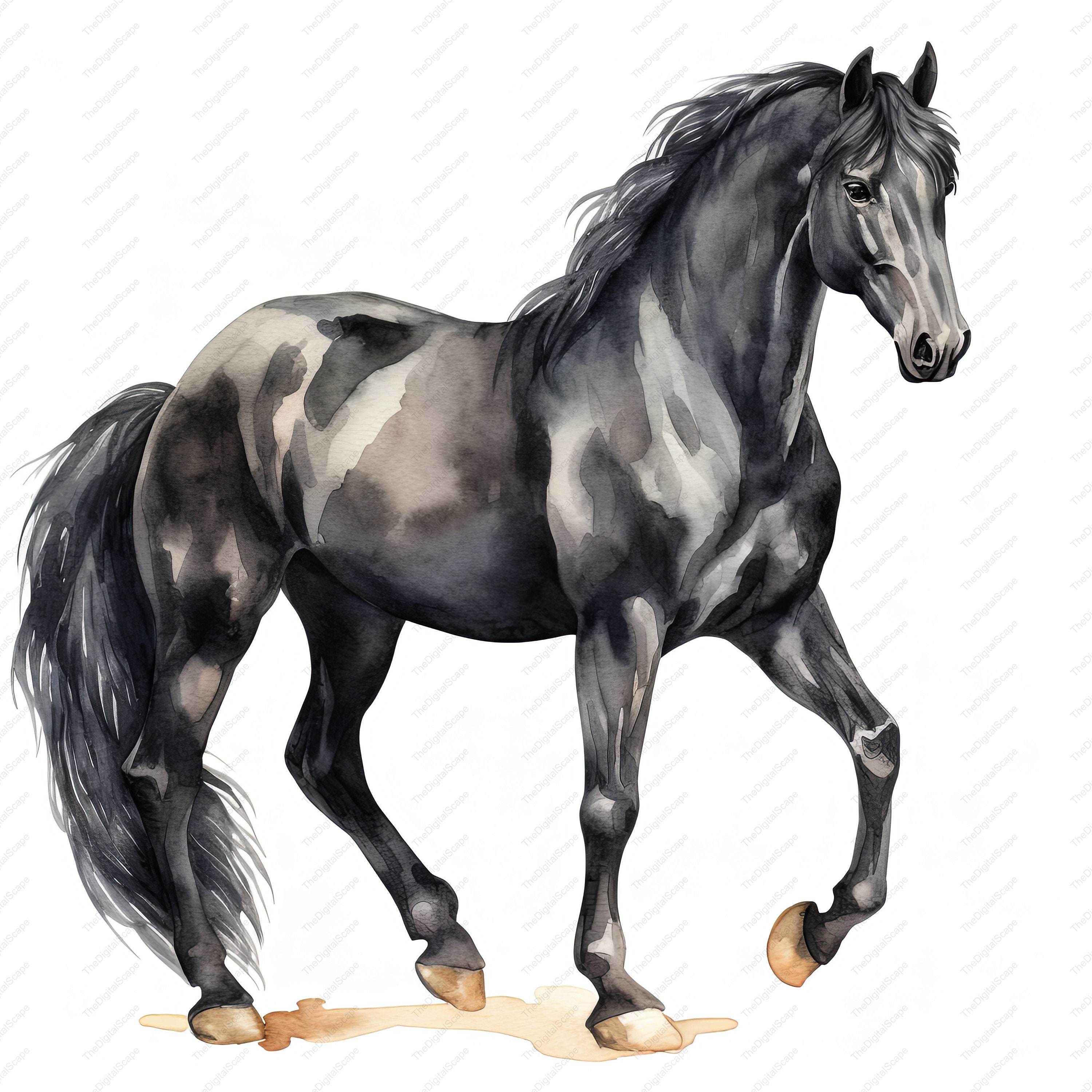 Black Horse Watercolor Clipart – Commercial Use, Digital Download - Etsy