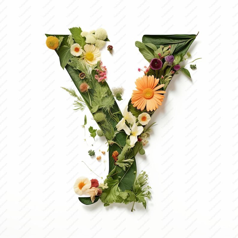 Floral Letter Y Clipart: Printable Alphabet Image (digital Download) - Etsy