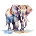Watercolor Elephant Clipart – Animal Art, Commercial Use (instant ...