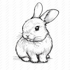 Bunny Line Art Clipart - 10 High Quality Jpgs, Scrapbooks, Digital ...