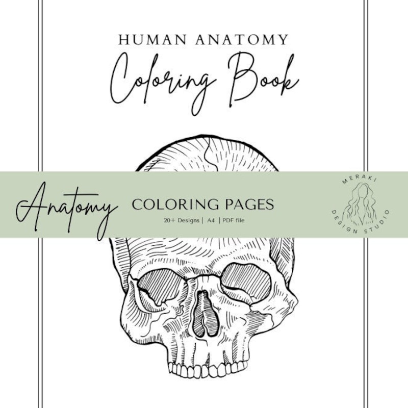 Human Anatomy Printable - Etsy