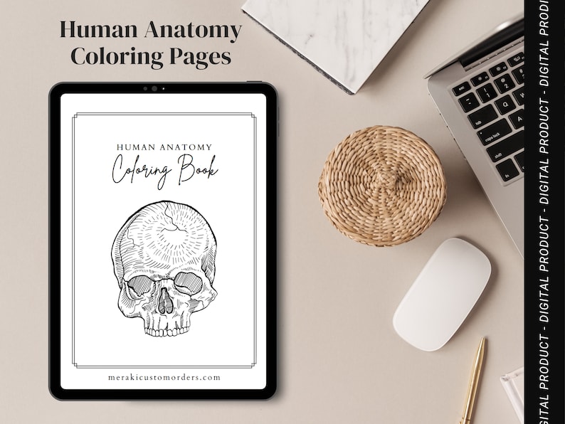 20+ ANATOMY COLORING PAGES, Printable Coloring Book, Coloring Pages ...