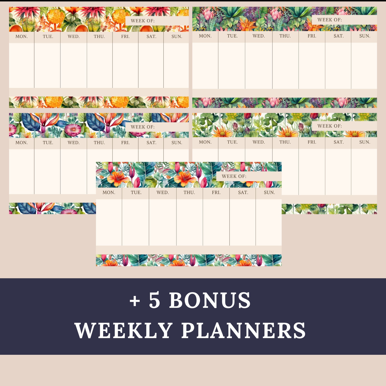 2024 Calendar and Monthly Planner - 5 Bonus Weekly Planners - Landscape ...