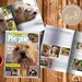 Dog Magazine With All 6 Cover Templates, Template for Canva, Drag and ...
