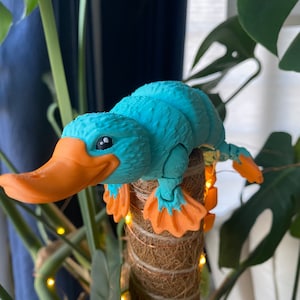 Platypus Toy 4 Color | 3D Printed Articulated Flexible Fidget Figure ...