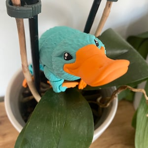 Platypus Toy 4 Color | 3D Printed Articulated Flexible Fidget Figure ...