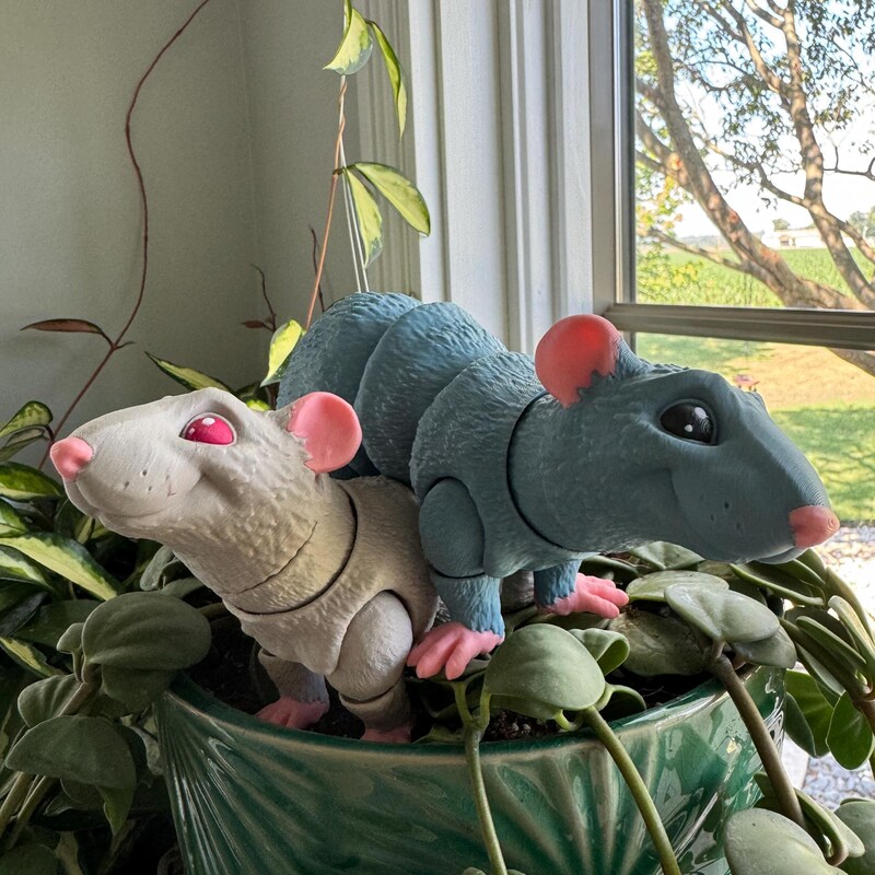 3d Printed Animal Rat - Etsy