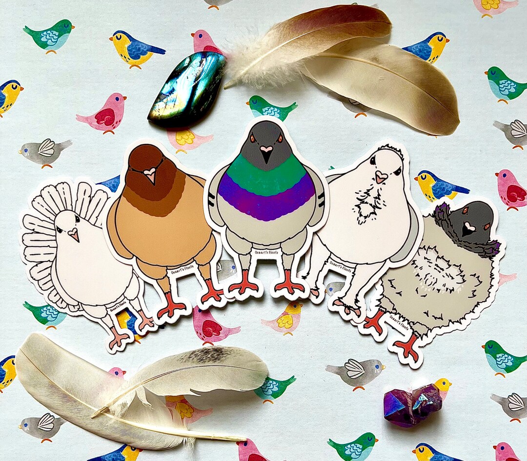 Angry Pigeon Stickers | Funny and Cute Vinyl Weatherproof Water Bottle ...