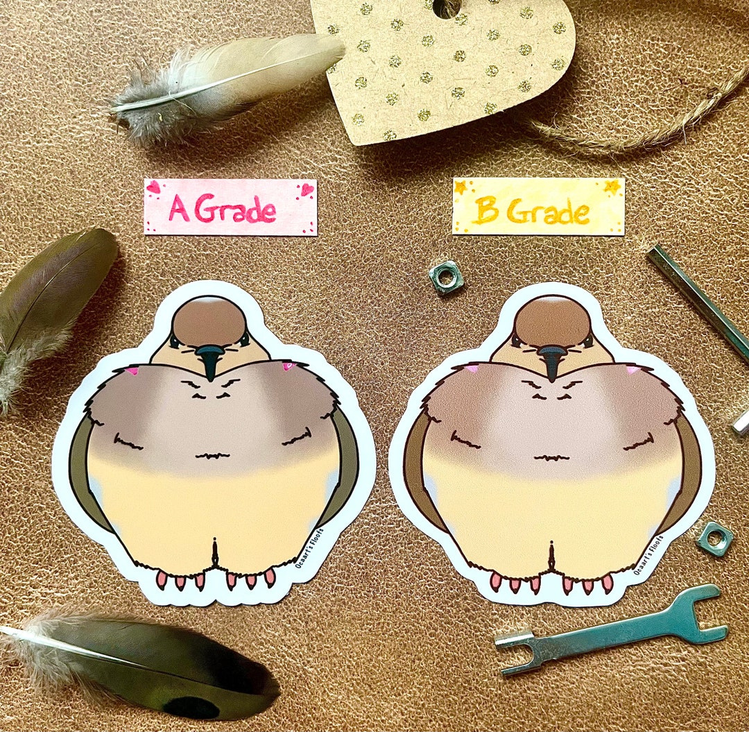 B Grade Pudgy Dove and Angry Pigeon Stickers | Funny and Cute Vinyl ...