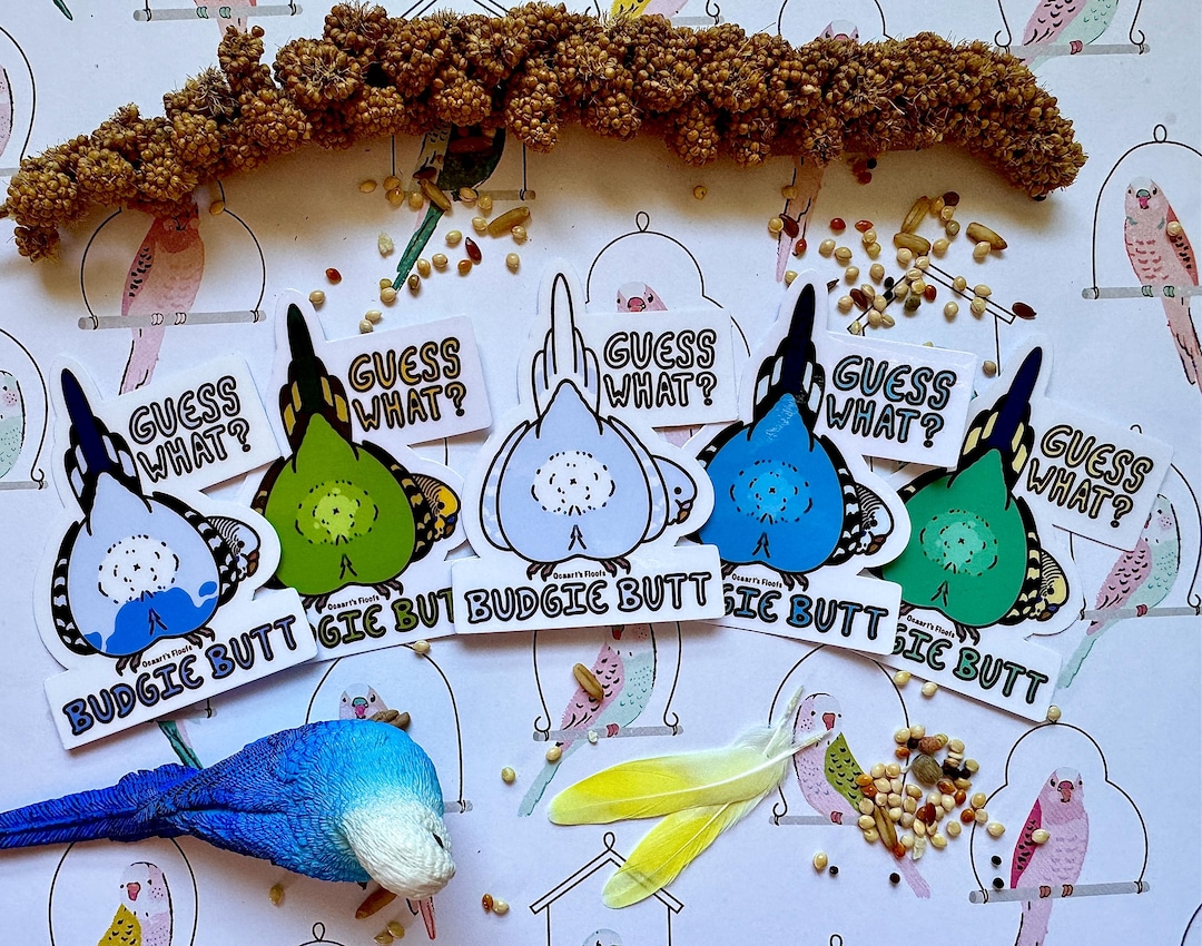 Cheeky Budgie Butt Sticker | Vinyl Waterproof Weatherproof Journal ...