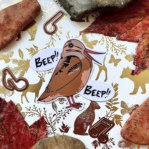 Timberdoodle Sticker | Funny Vinyl Weatherproof Water Bottle ...