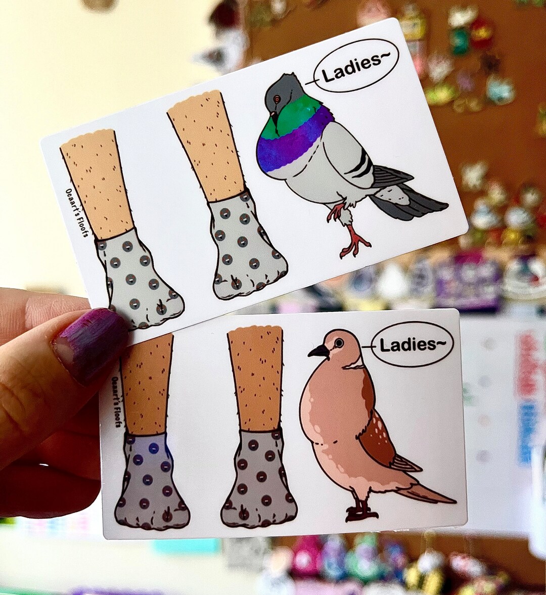 Pigeon Sticker | Dove Sticker | Funny Vinyl Weatherproof Water Bottle ...