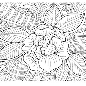 Mindful Coloring: Coloring Book With Creative Pattern Designs for ...