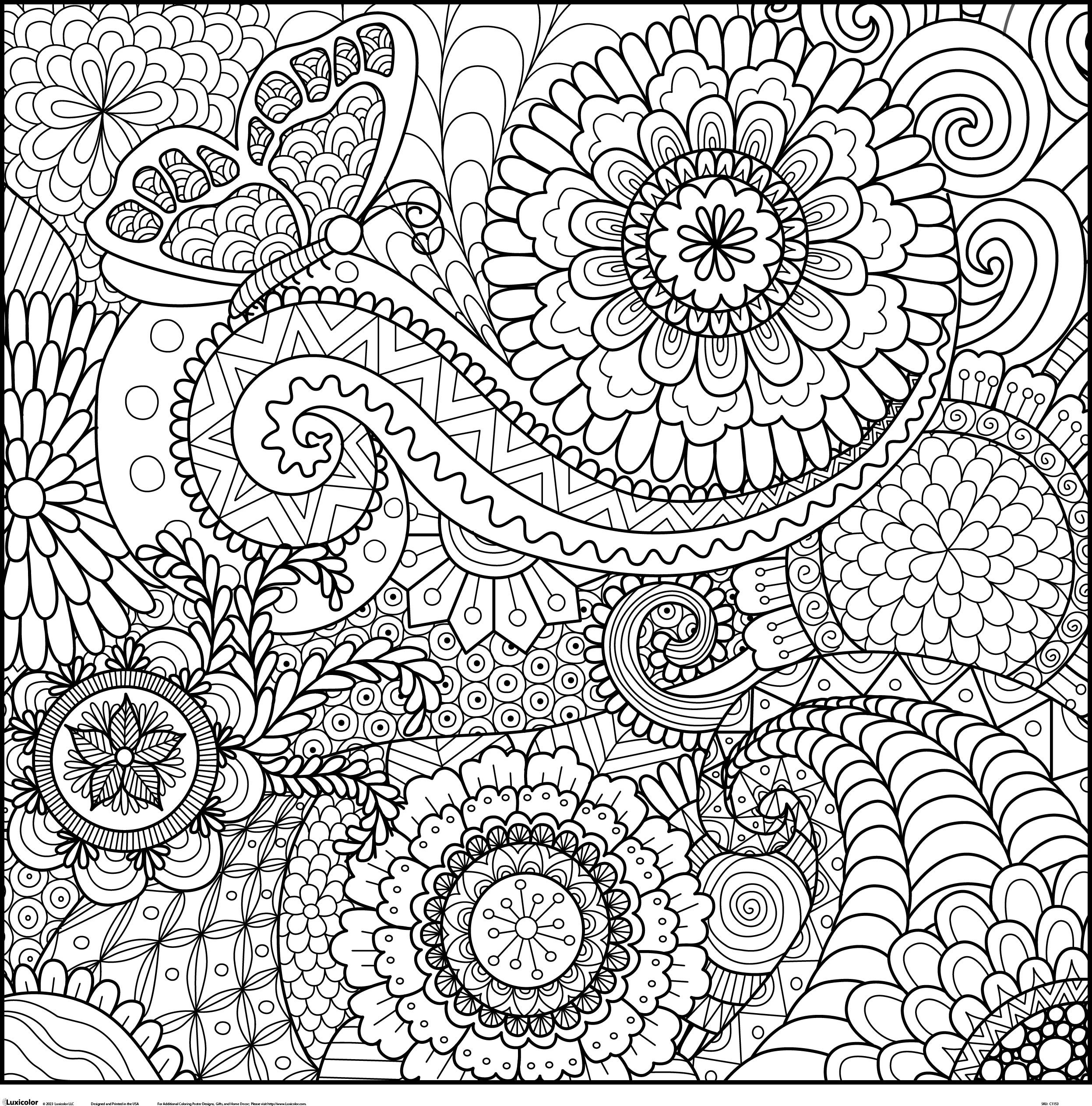 Giant Zendoodle Mandala Coloring Poster Beautiful Coloring Gift for All ...