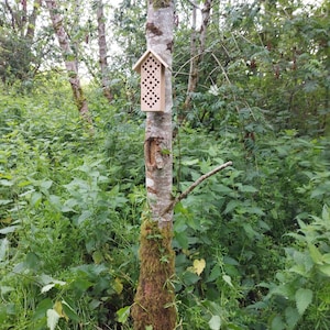 Bee Hotel Plans for Woodworking Plan for Bee Condo for DIY Insect House ...