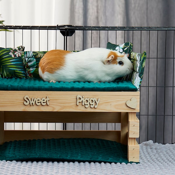 Guinea Pig Ramp - Etsy