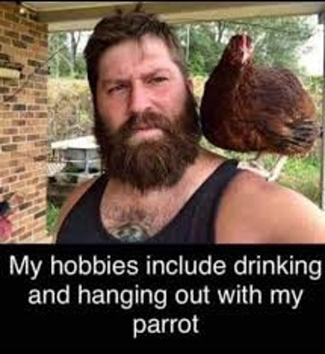 My Hobbies Are Drinking and Hanging Out With My Parrot T-shirt - Etsy