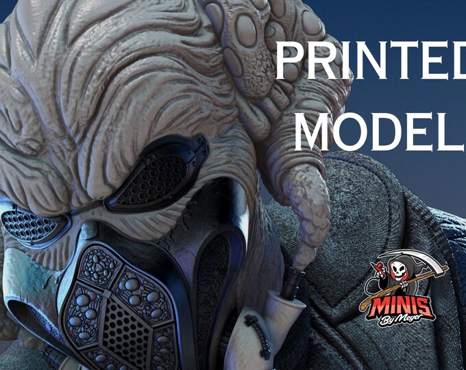 Plo Koon Face Mask - Etsy