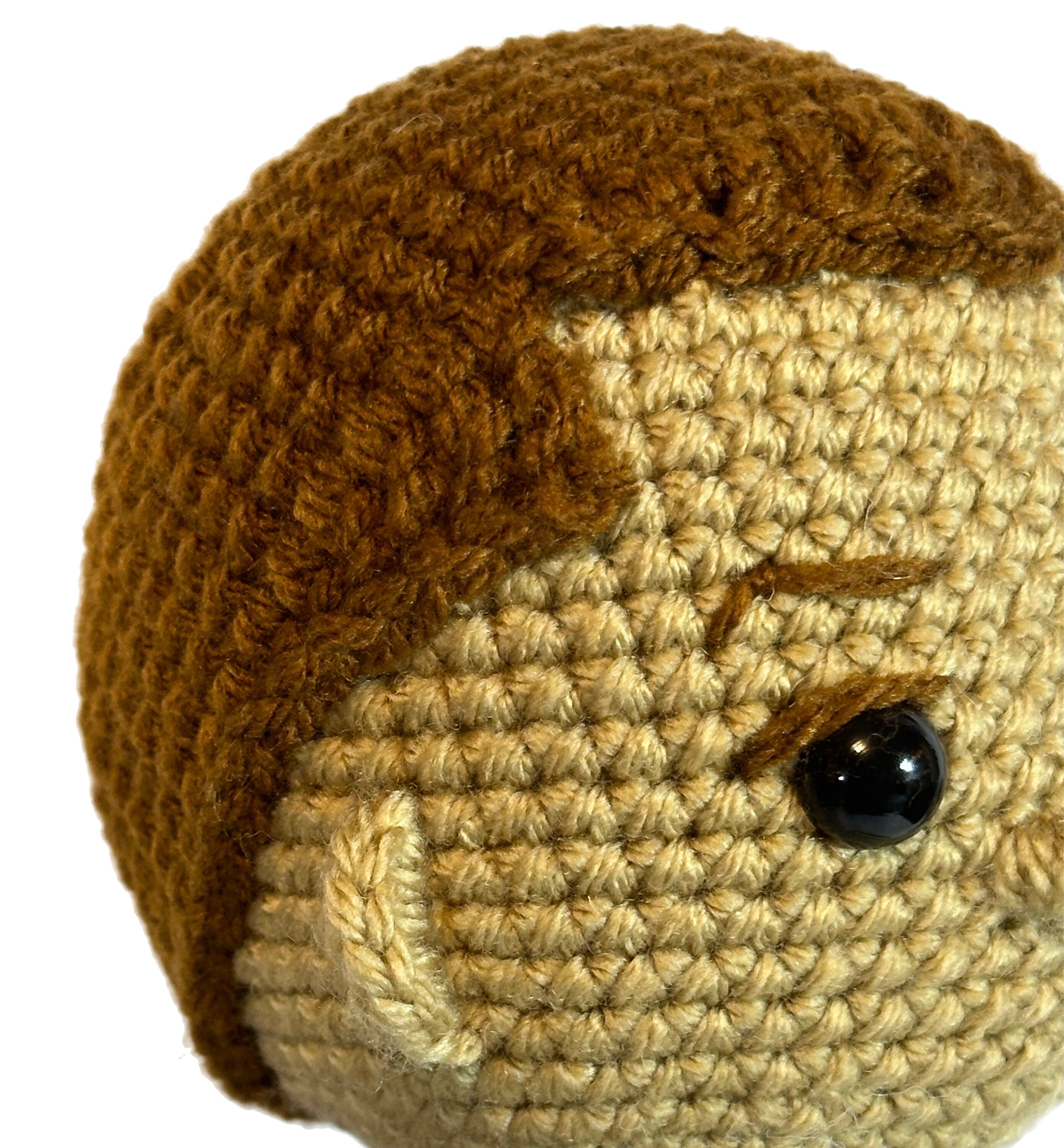 Kidd Academic Crochet Doll Pattern - Etsy