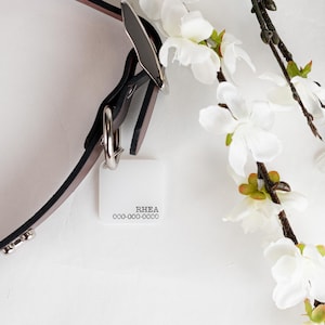 Frosted Dog Tag, Personalized Dog Tag, Dog Id Tag, Cat Name Tag, Pet ...