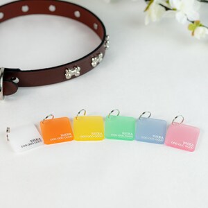 Frosted Dog Tag, Personalized Dog Tag, Dog Id Tag, Cat Name Tag, Pet ...