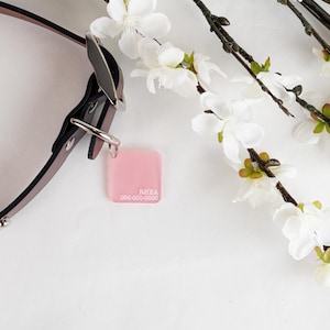 Frosted Dog Tag, Personalized Dog Tag, Dog Id Tag, Cat Name Tag, Pet ...