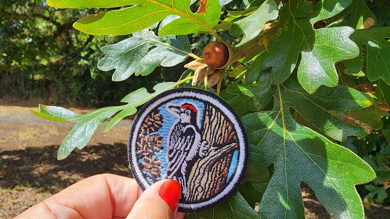 Acron Woodpecker Embroidered Patch - Etsy
