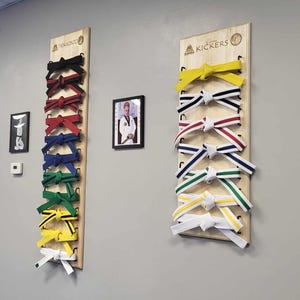 Modular Martial Arts Belt Displays - Etsy