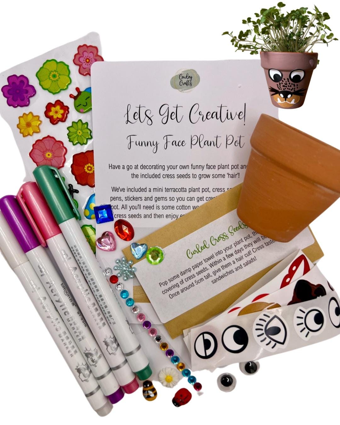 Funny Face Plant Pot Mini Craft Kit - Children's Craft Kit - Cress Head ...