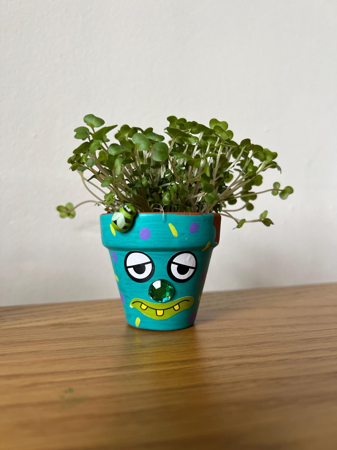 Funny Face Plant Pot Mini Craft Kit - Children's Craft Kit - Cress Head ...