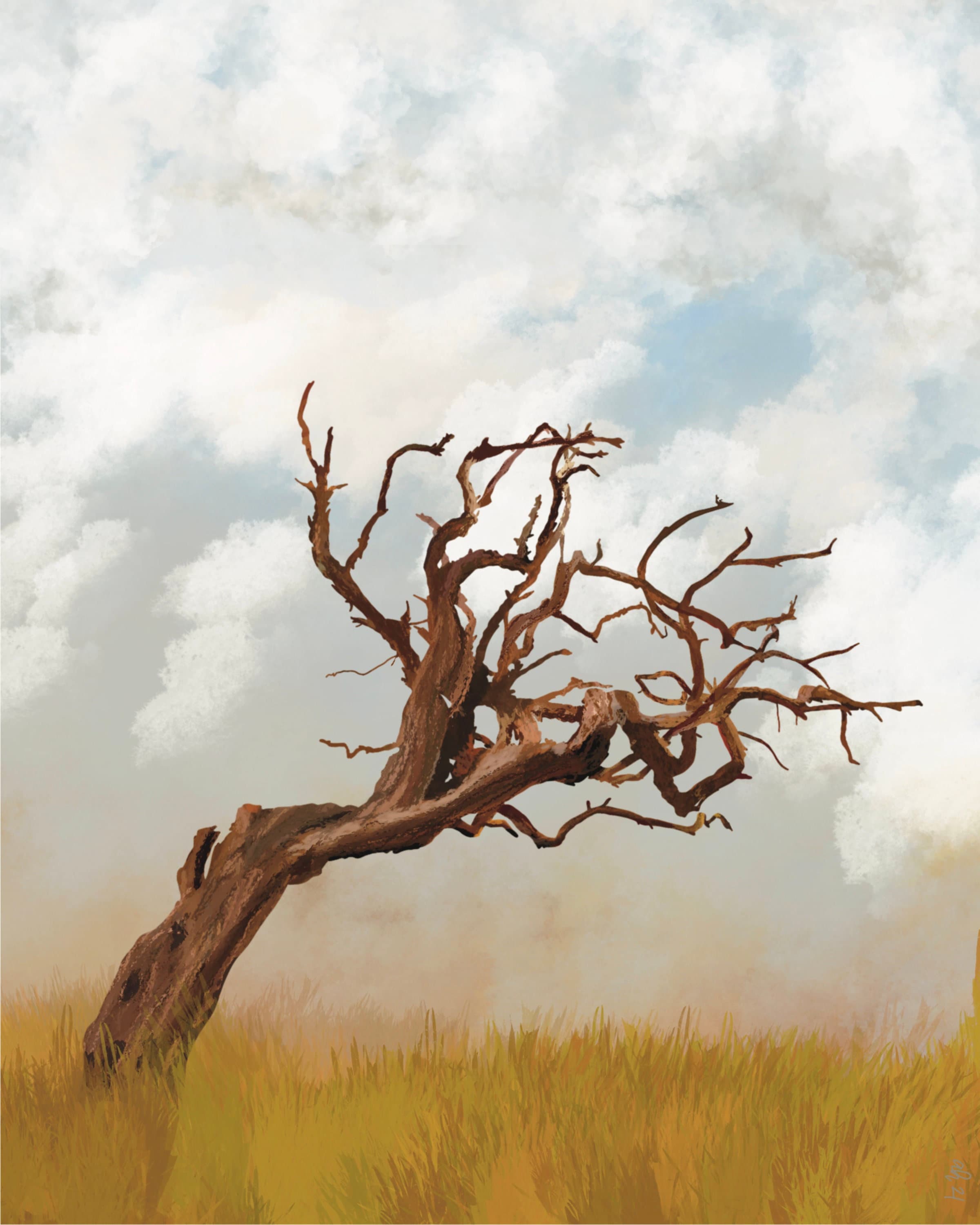 Withered Fig Tree - Etsy