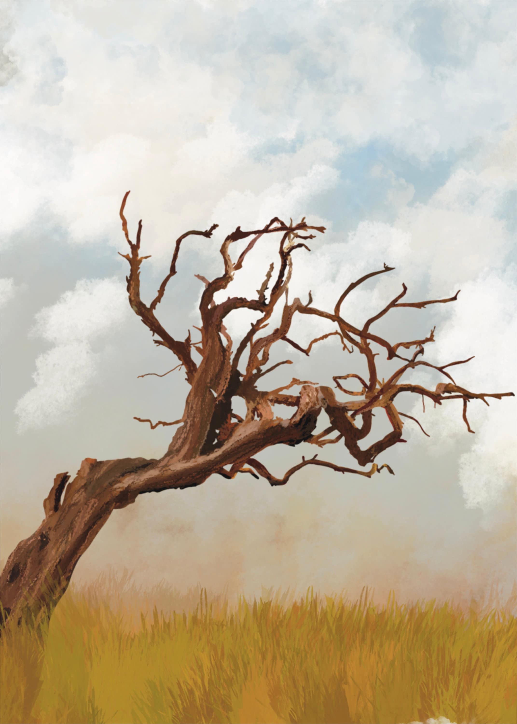 Withered Fig Tree - Etsy