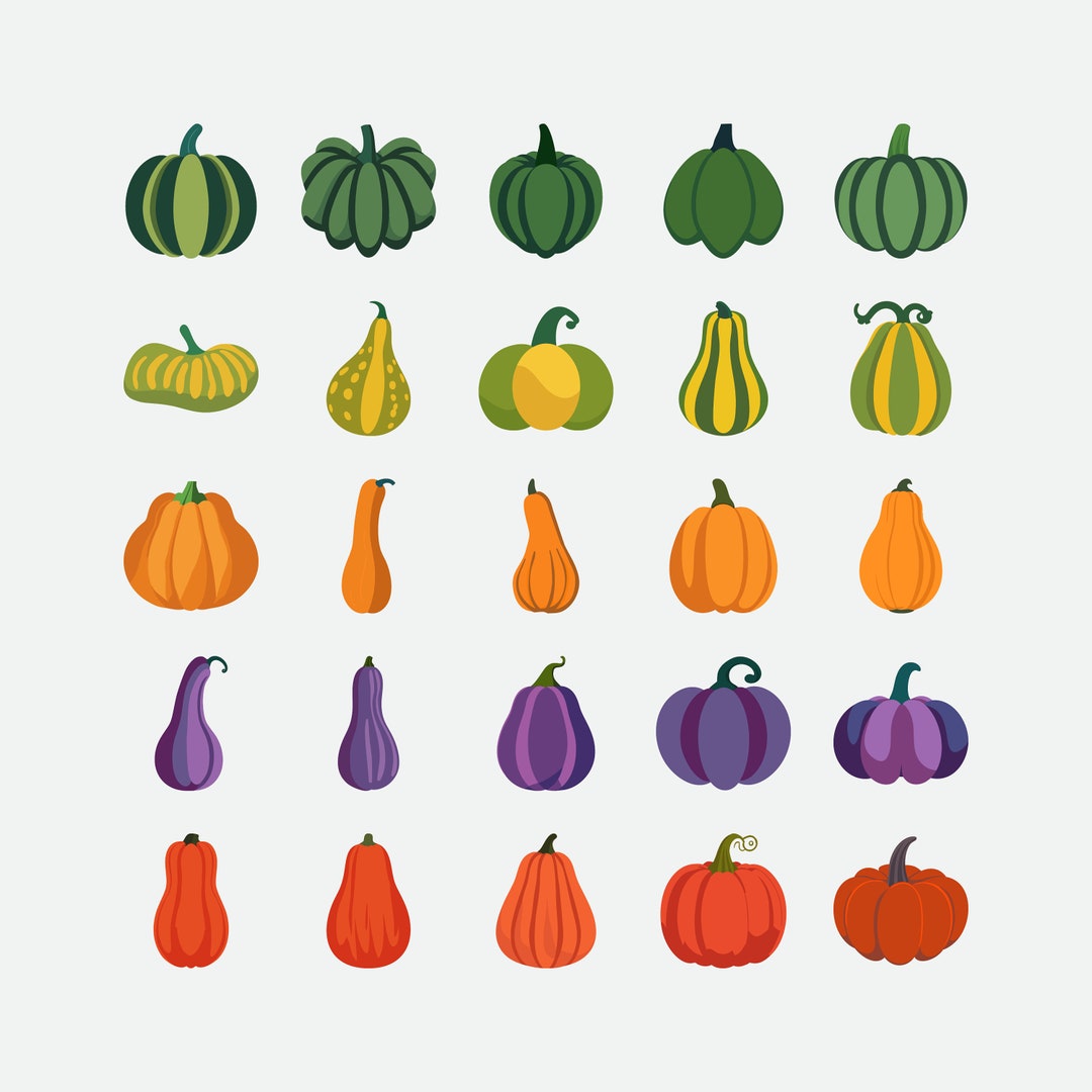 25 Colorful Gourd Graphics, Vector Svgs, Sticker Pngs - Etsy