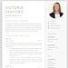 PROFESSIONAL CV Modern Executive Resume Template - Clean Microsoft Word ...