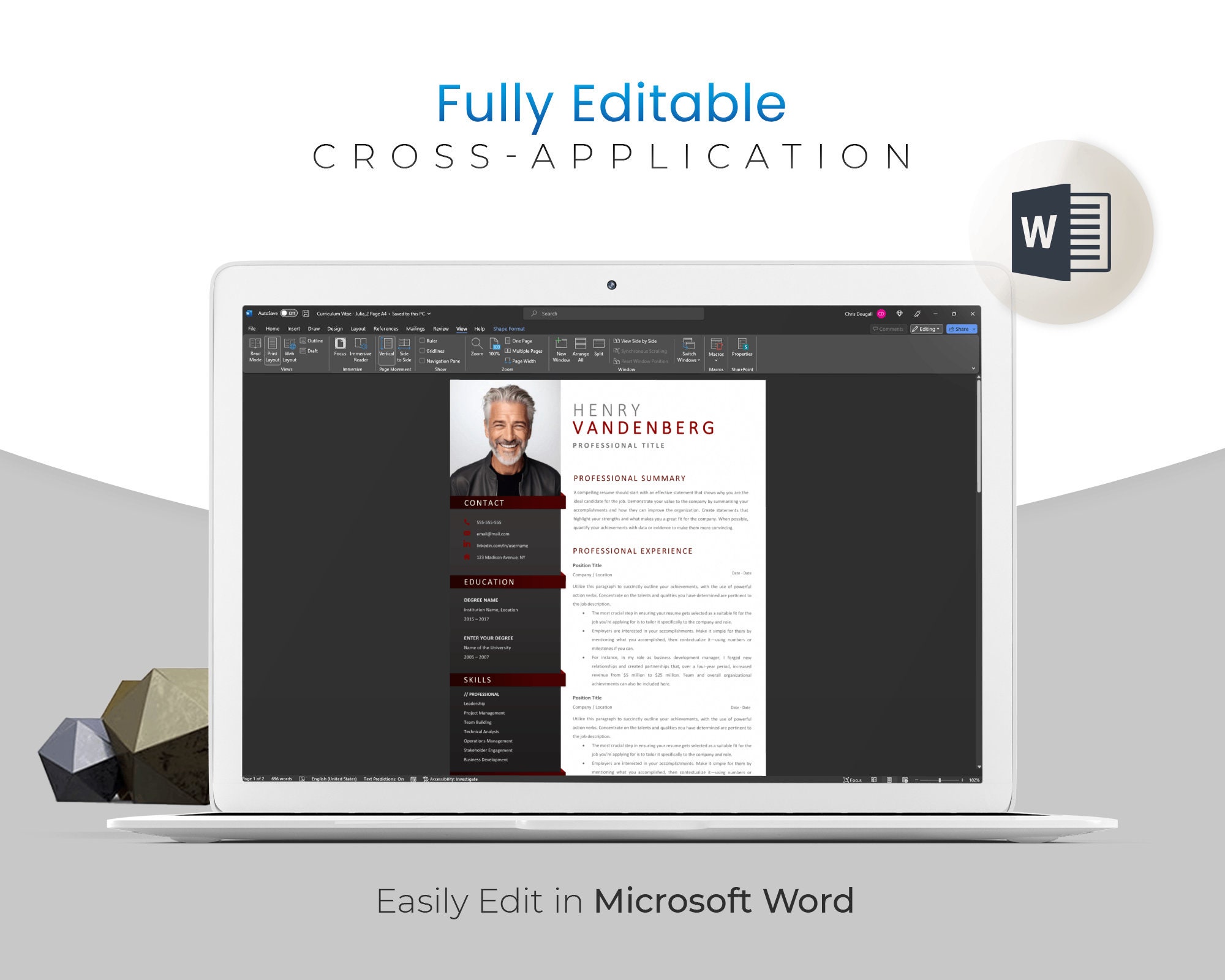 Executive Modern RESUME TEMPLATE for Microsoft Word Modern CV Download ...