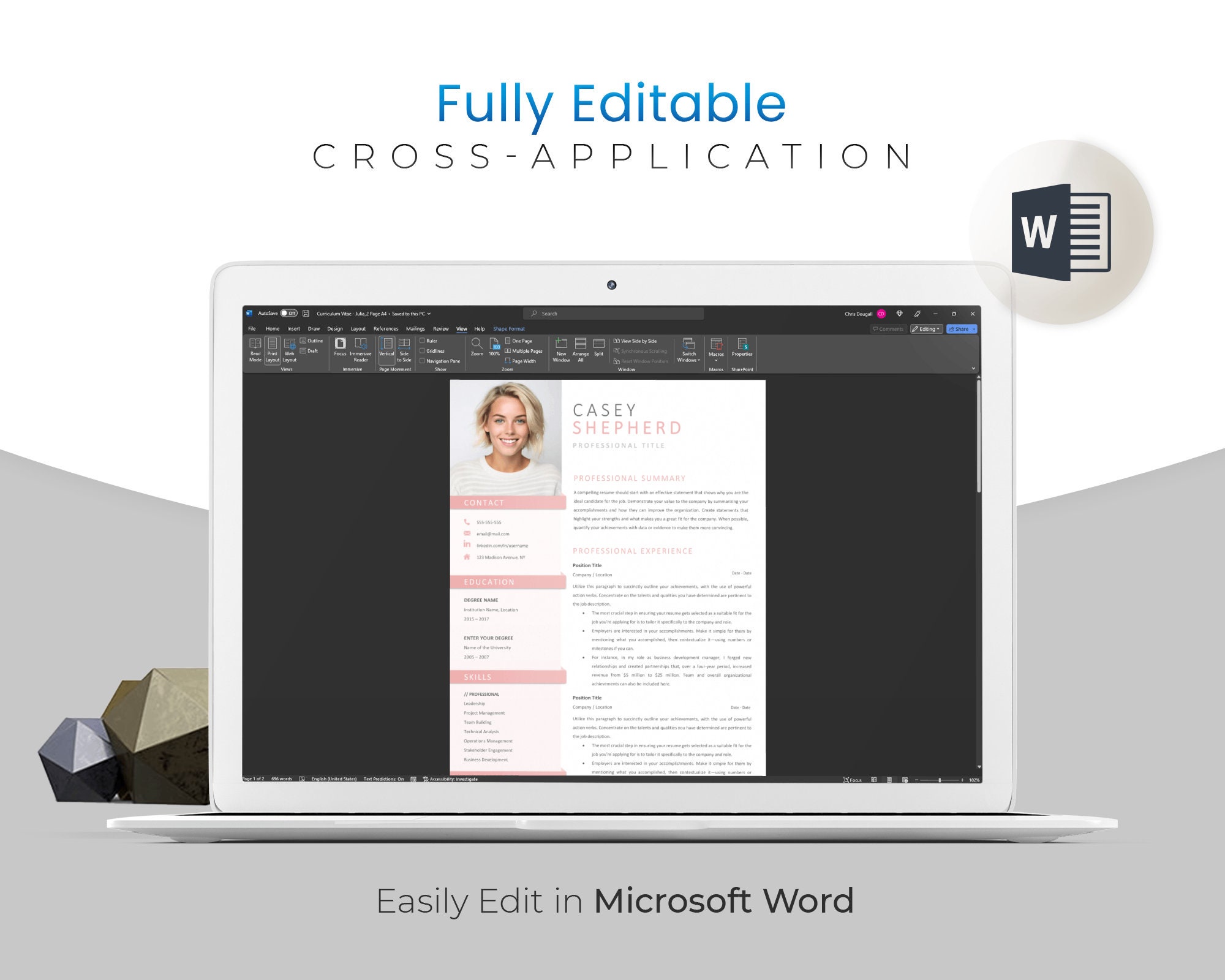 Professional MODERN Clean CV TEMPLATE for Microsoft Word Modern Resume ...