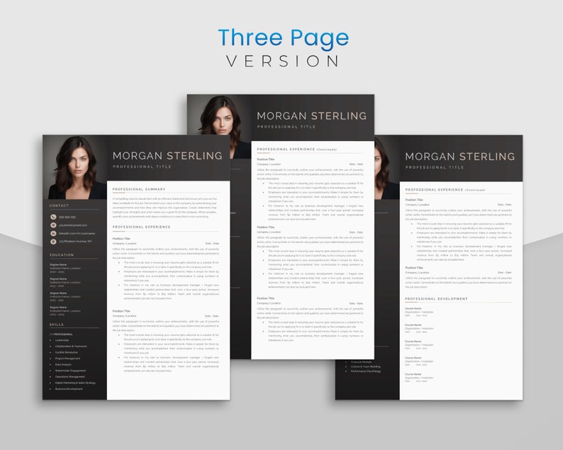 Modern Professional Executive CV TEMPLATE for Microsoft Word Modern ...