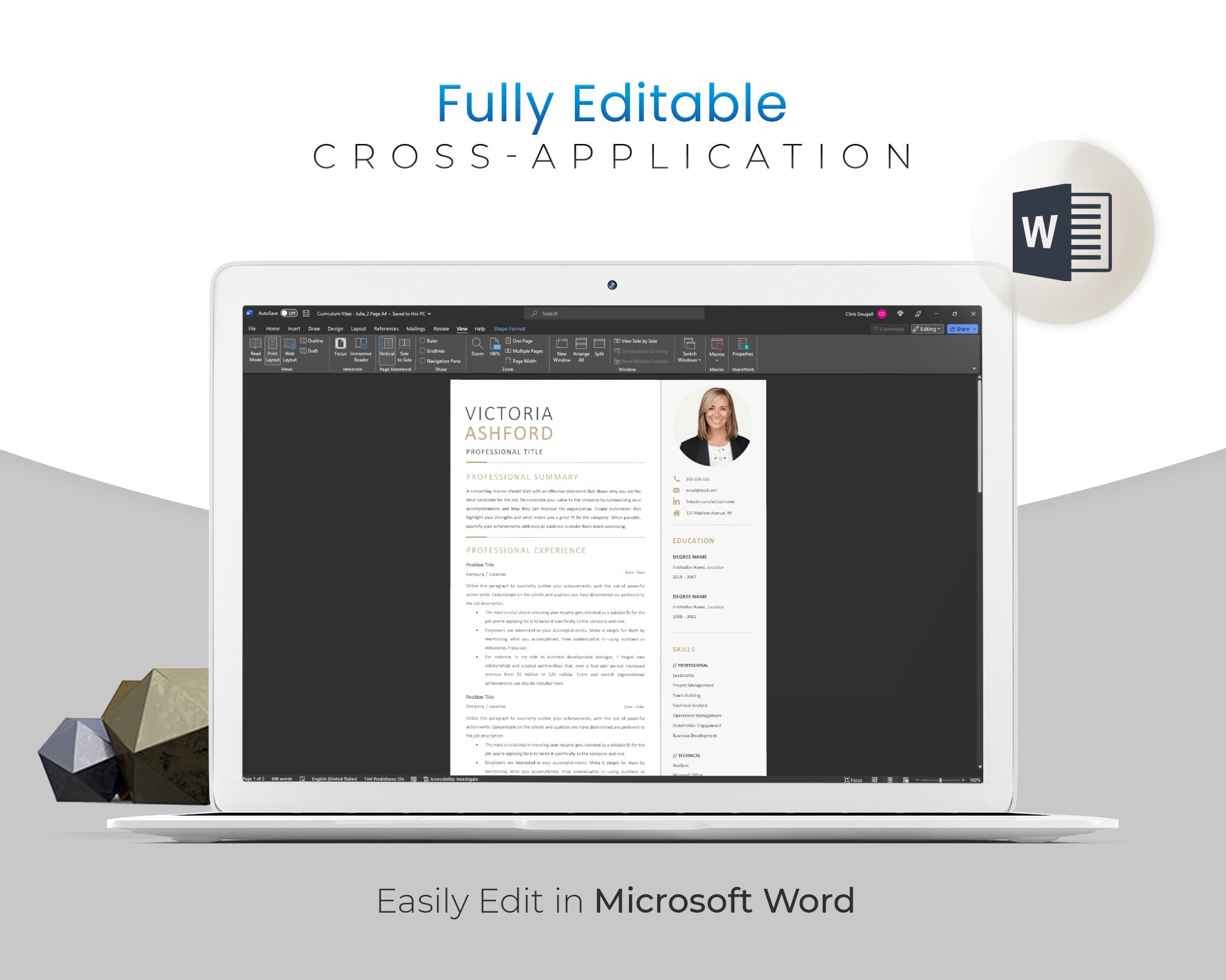 PROFESSIONAL CV Modern Executive Resume Template Clean Microsoft Word ...