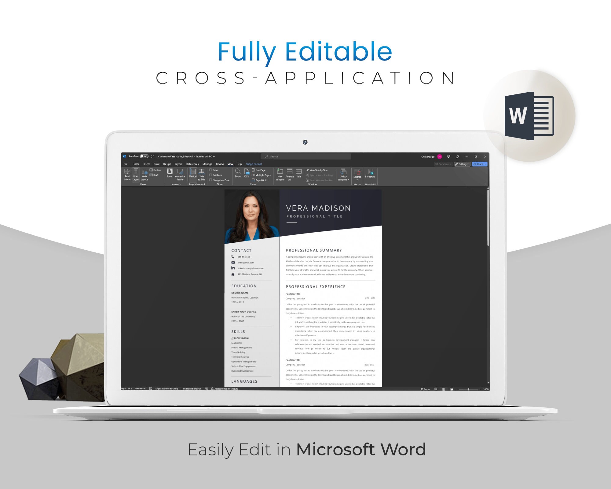 Resume TEMPLATE Professional Modern for Microsoft Word Professional CV ...