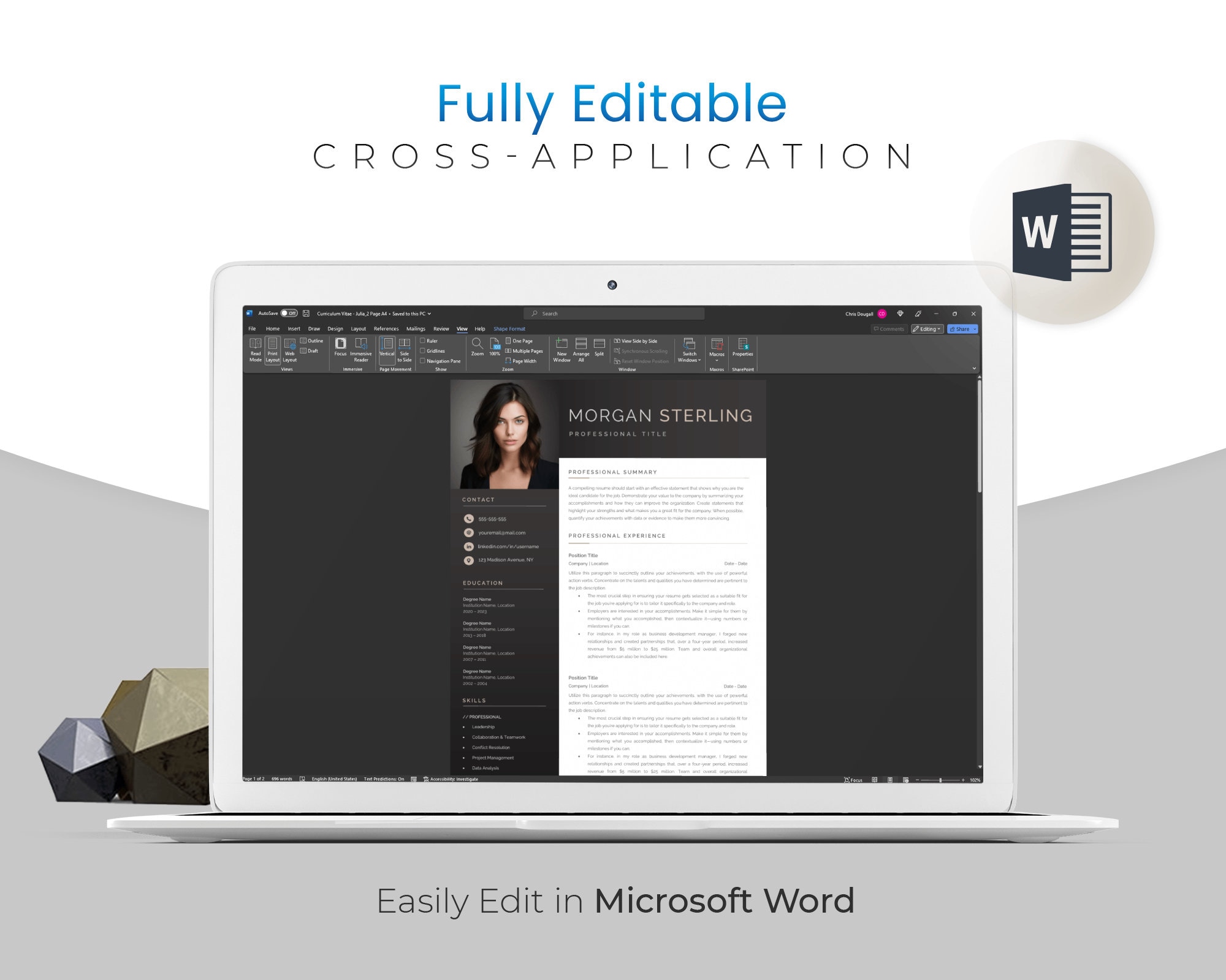 Modern Professional Executive CV TEMPLATE for Microsoft Word Modern Resume Download Editable ...