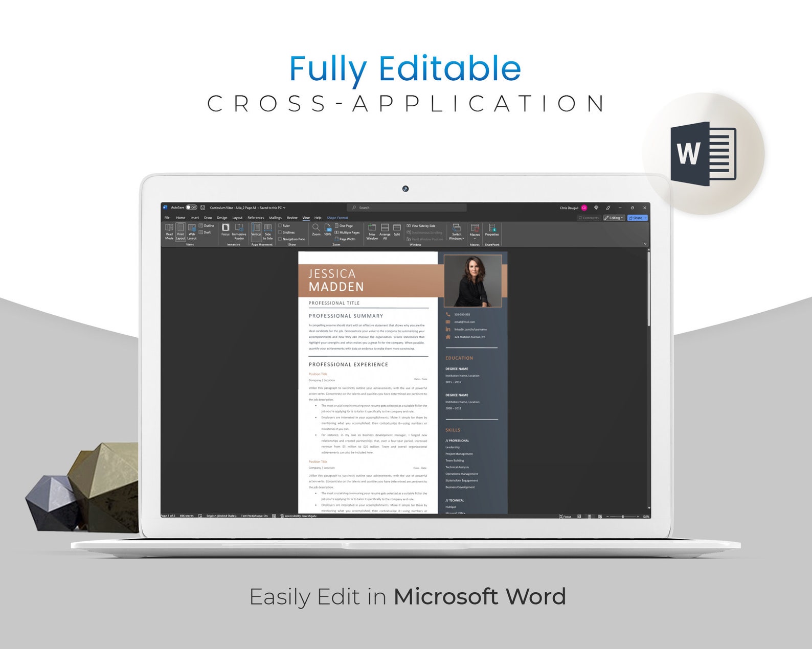 Customizable Professional CV Executive Resume Template - Clean ...
