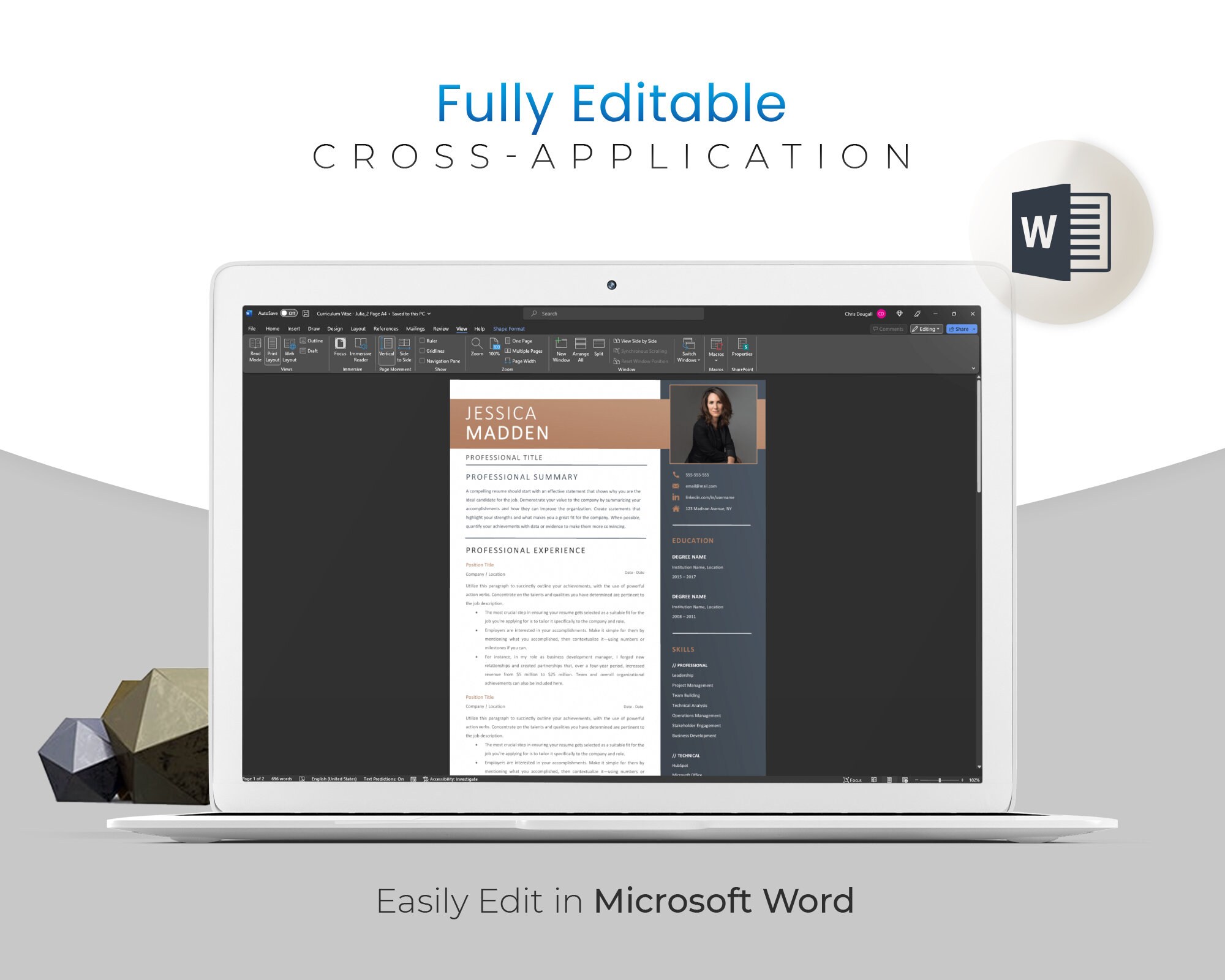 Customizable Professional CV Executive Resume Template - Clean ...