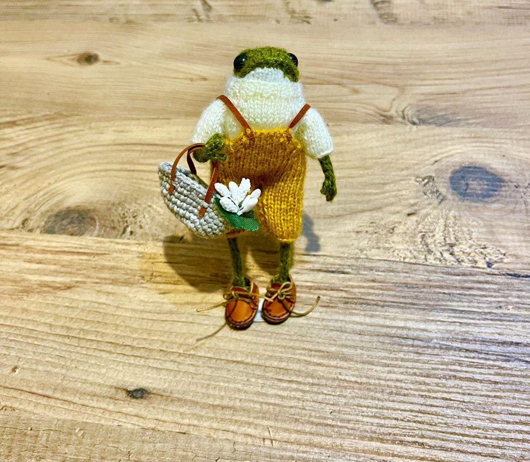 Knitted Frog, Frog and Toad, Frog Plush, Custom Frog, Knitted Frog ...