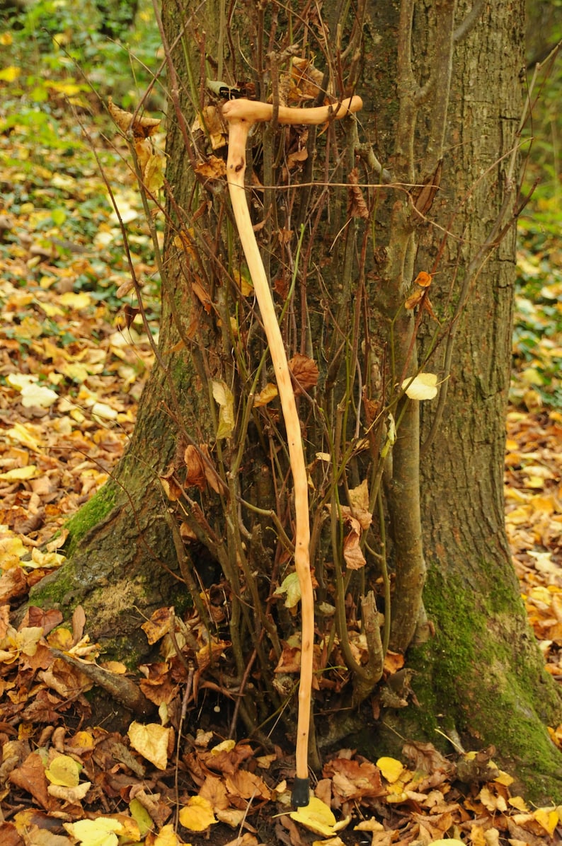 Left-handed Blackthorn Walking Stick - Etsy