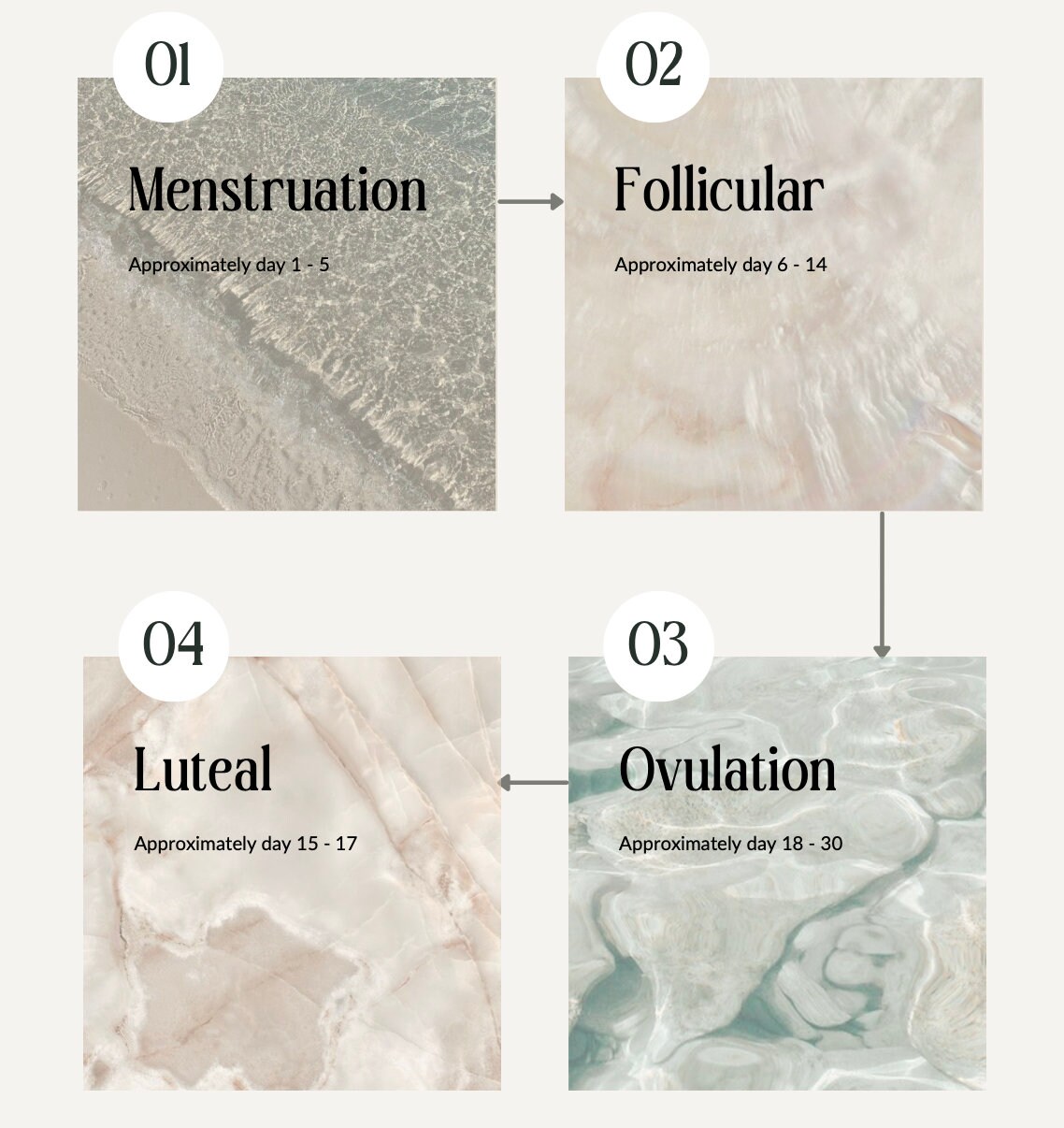 Printable Ebook Cyclical Living Learn to Live in Sync With Your Cycle ...