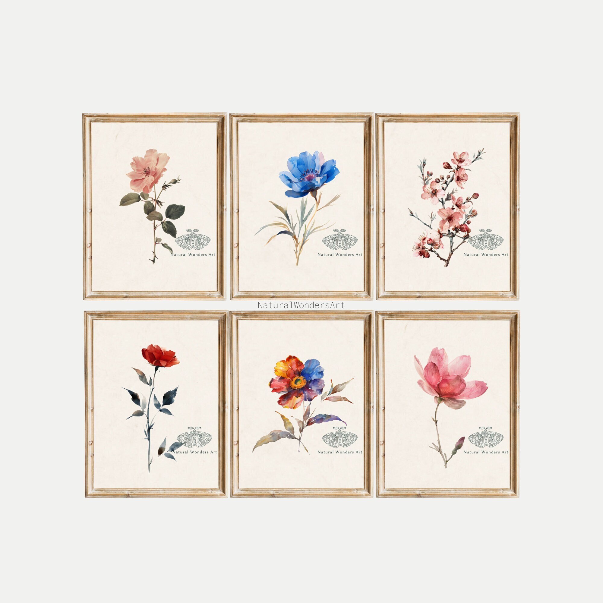 Watercolor Wildflower Wall Art, Wildflower Set of 6 Wall Art,wild ...