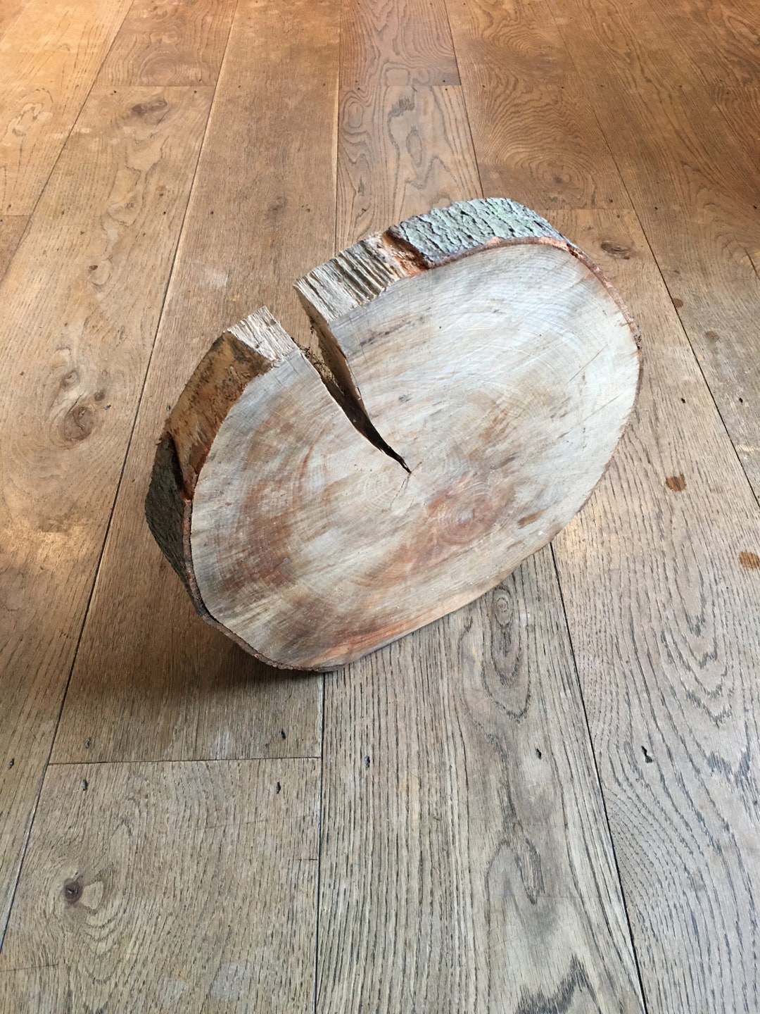 Large Ash Tree Trunks for All of Your Home / Garden Decor and Craft ...