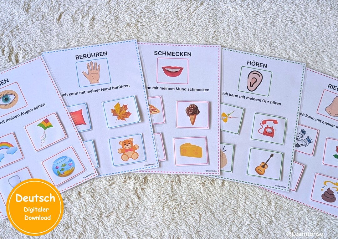 5 Sinne German 5 Senses Five Senses Sorting Activity - Etsy
