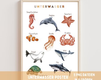 Hibernating Animals Poster and Fact Flash Cards - Etsy