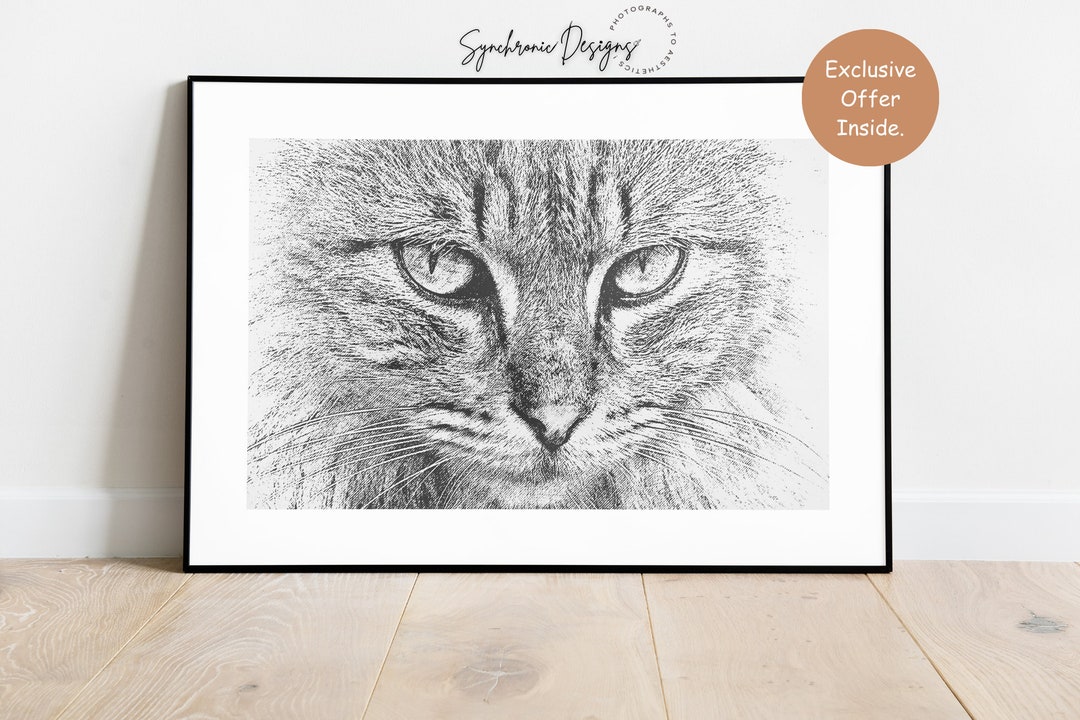 Custom Cat Portrait, Custom Cat Sketch for Cat Lover, Custom Cat ...
